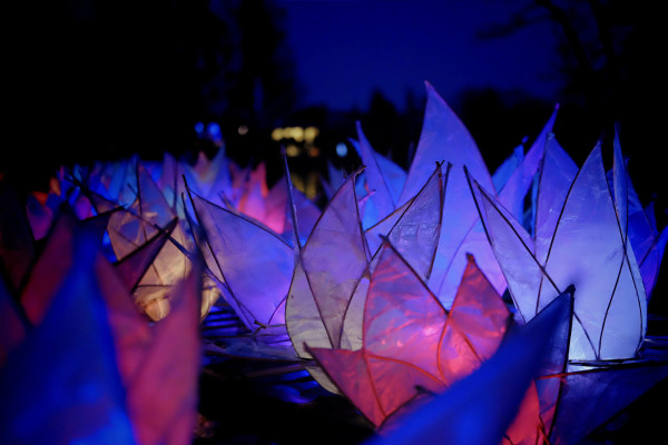 RiverLight Festival 2023 | Hub Sleaford
